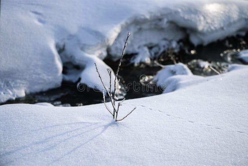 Stop at the winter stream stock photo. Image of outdoors - 241794426