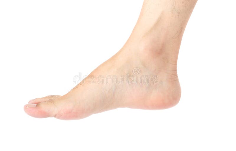 Stopa obraz stock. Obraz złożonej z zdrowy, wellness - 26180875