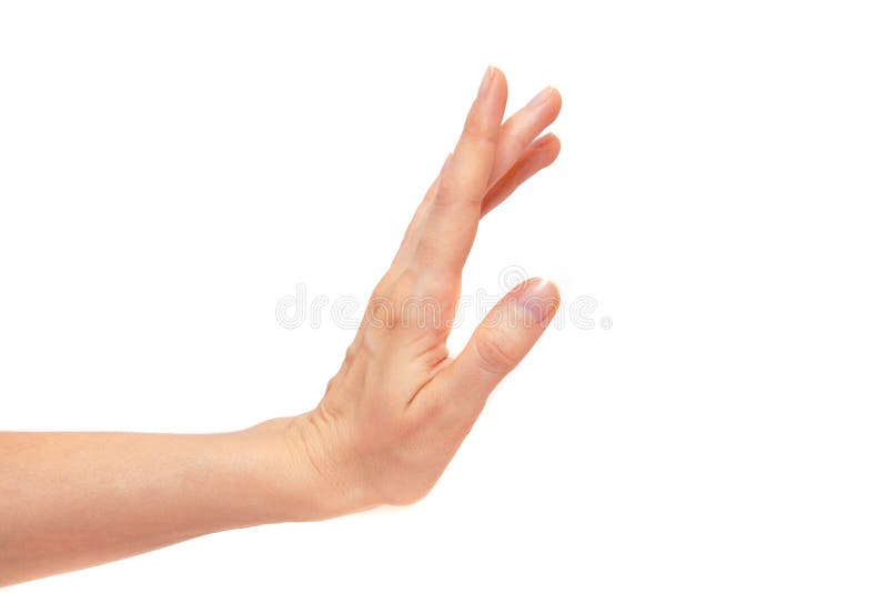 Stopp-Handzeichen stockfoto. Bild von schön, finger, palme - 29052432
