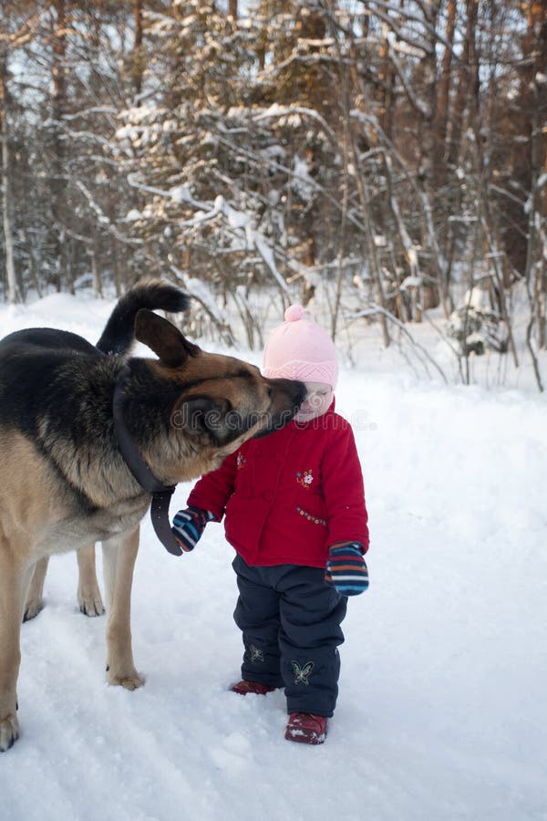 Stor Multibred Hund Som Slickar Lilla Flickan Arkivfoto - Bild av ...