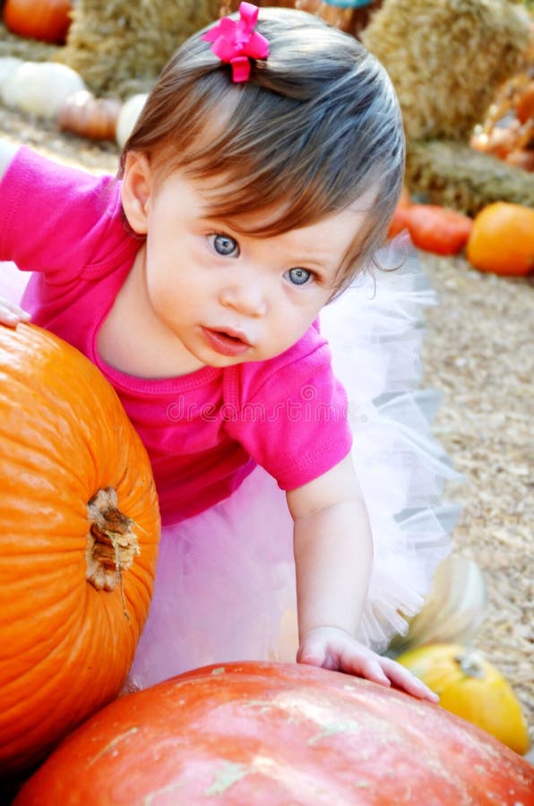 Stor Pumpa och Bebis fotografering för bildbyråer. Bild av bifokal ...