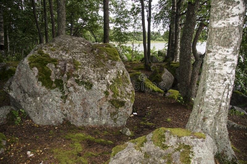 Stor sten i skogen fotografering för bildbyråer. Bild av brigham - 58567593