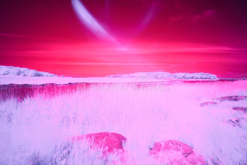 Stora Amund Island stock image. Image of beach, color - 248864115