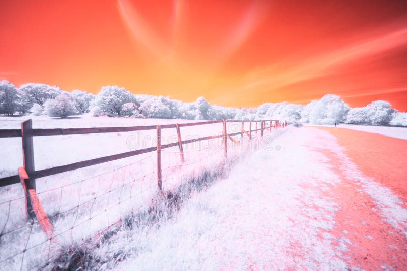 Stora Amund Island stock image. Image of shore, adventure - 248864147