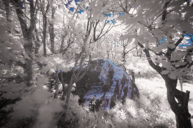 Stora Amund Island stock image. Image of beach, nordic - 248864373