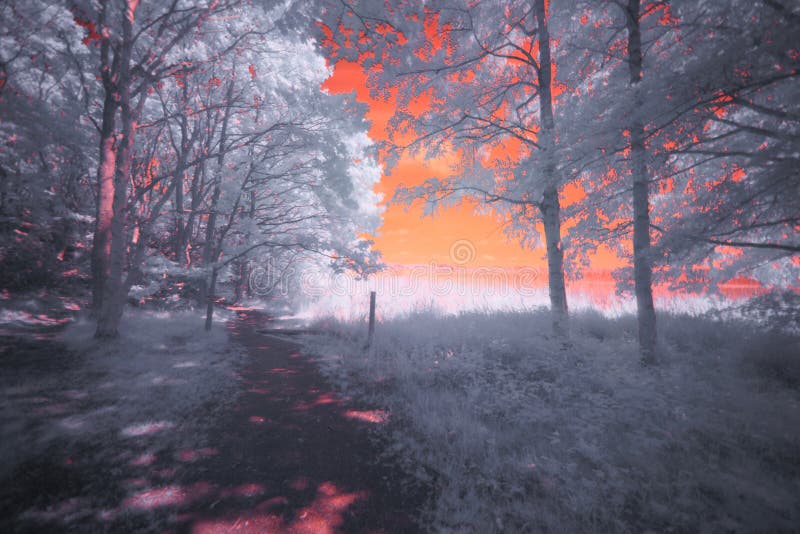 Stora Amund Island stock image. Image of reserve, amundon - 248864421