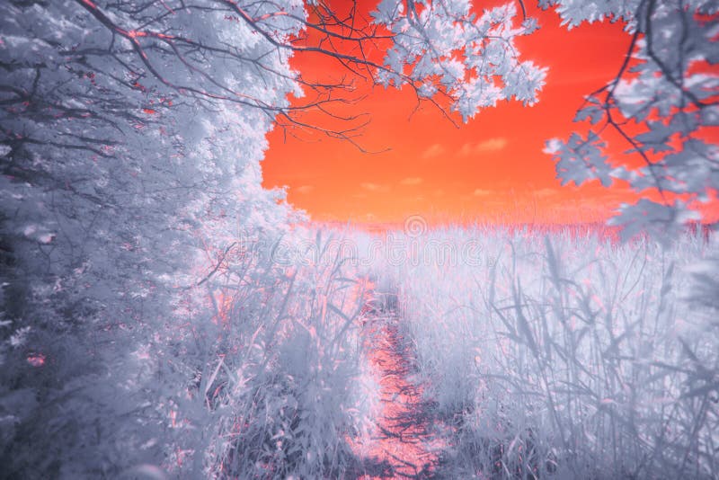 Stora Amund Island stock image. Image of water, shore - 248864441