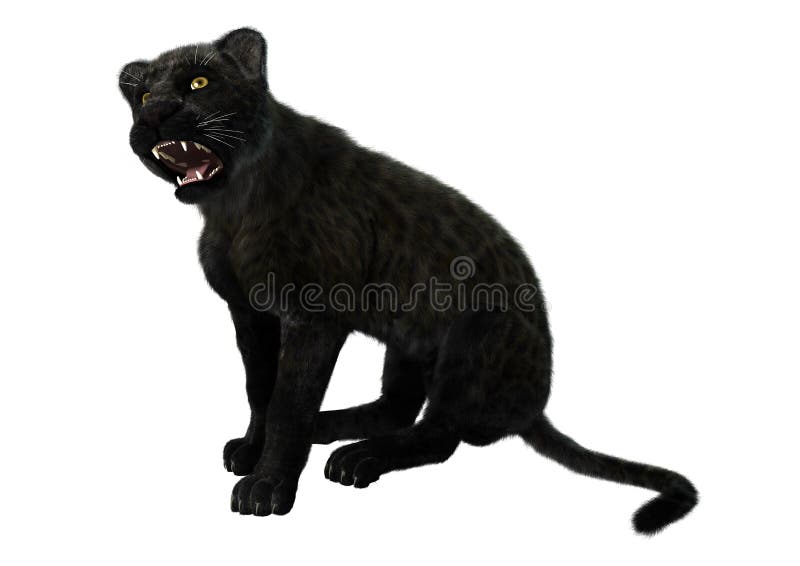 Stora Cat Black Panther fotografering för bildbyråer. Bild av djurliv ...