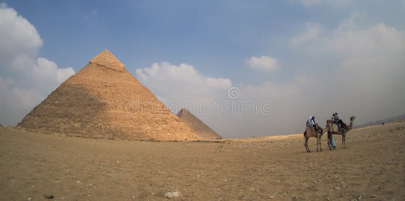 Stora Giza Pyramider I Egypten Med Kamel, Panoramautsikt Redaktionell ...
