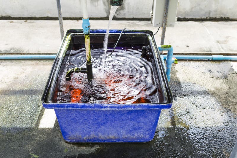 Storage Bin for Nutrition Solution of Hydroponic System Stock Photo ...