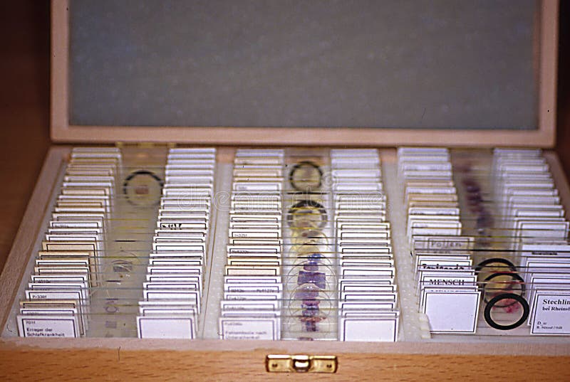 Storage Box for Tissue Preparations Stock Photo - Image of equipment ...