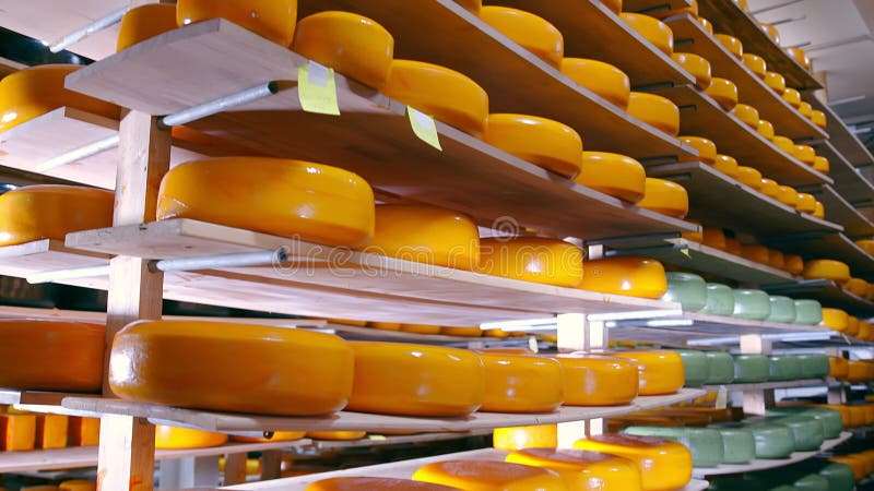 Storage of Cheese of Different Varieties on Wooden Shelves in the ...