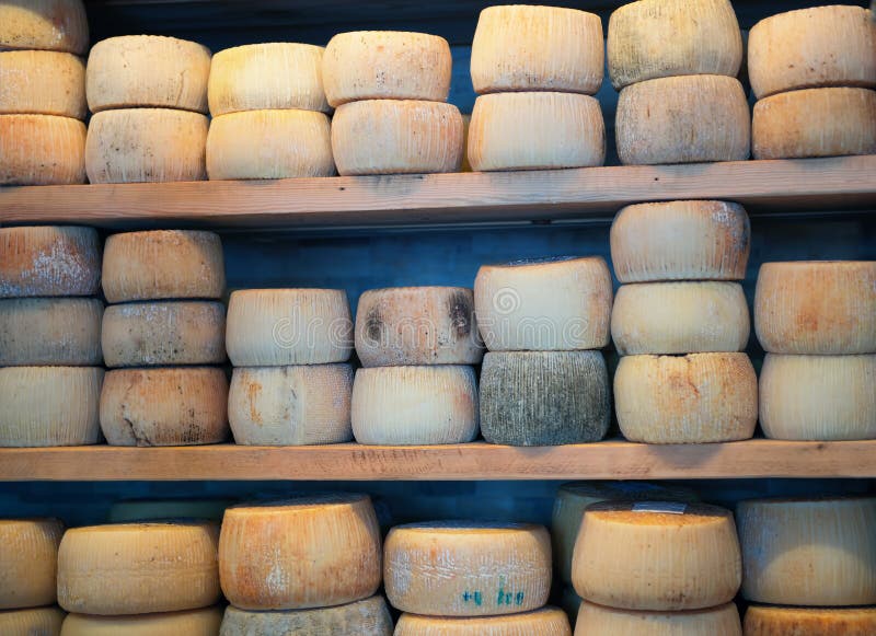 Cheese storage in dairy stock image. Image of cold, shelves - 1916253