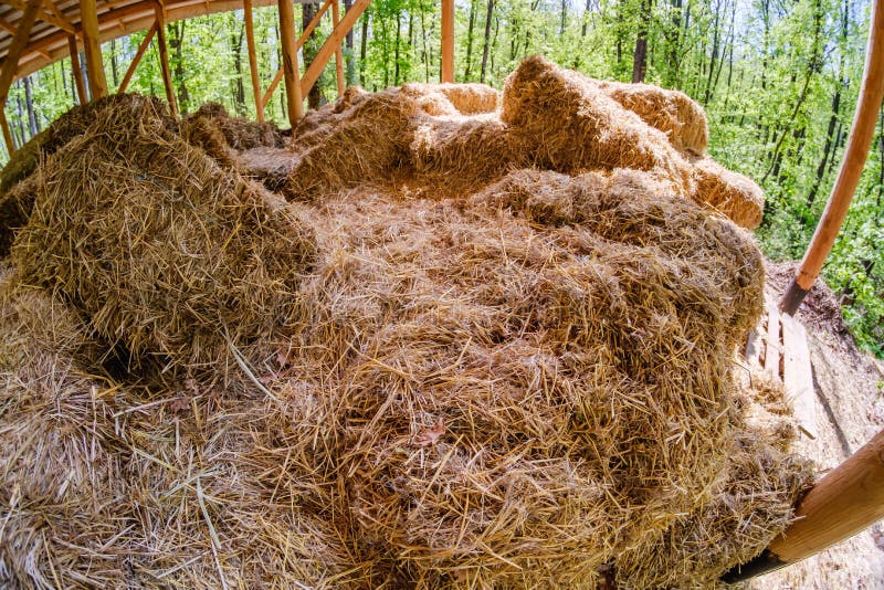 Storage Hay Agriculture Rural Straw, Stack Stock Image - Image of ...