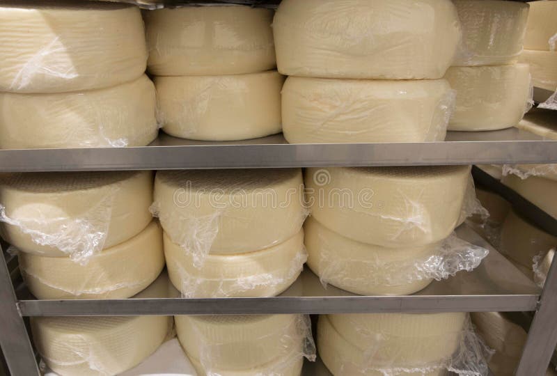 Storage and Maturation of Cheese Stock Image - Image of health ...