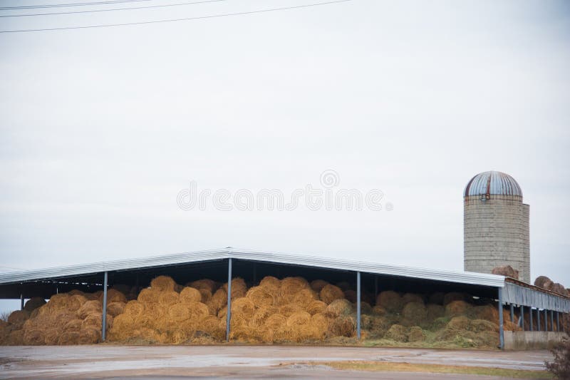 Storage with Piles of Stacks of Hay Stock Image - Image of bale, food ...