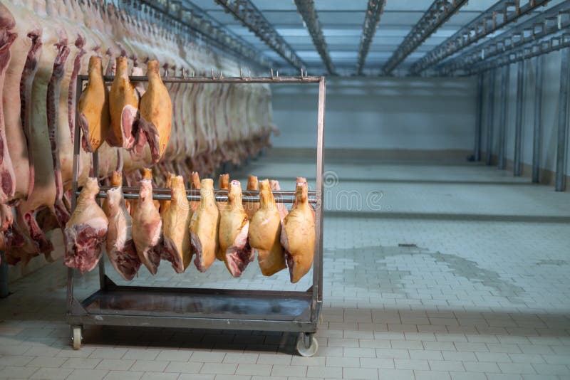Meat Processing in the Meals Industry, Cuts Uncooked Pig, Stock Photo ...