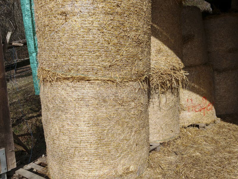 Storage of Straw in Agriculture Stock Photo - Image of energy, area ...