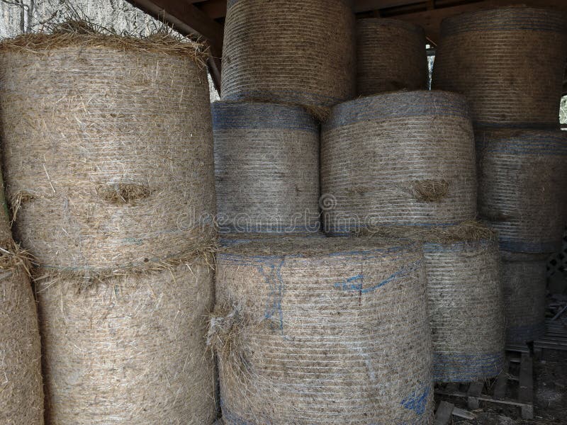 Storage of Straw in Agriculture Stock Photo - Image of crops, farm ...
