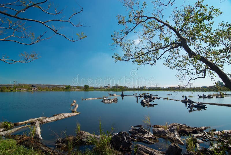 Red timber lake house stock image. Image of nature, estate - 77600075