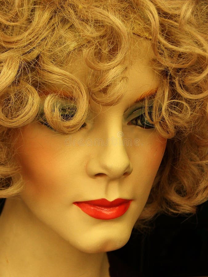 Store dummy stock image. Image of beauty, fashion, hair - 1049117