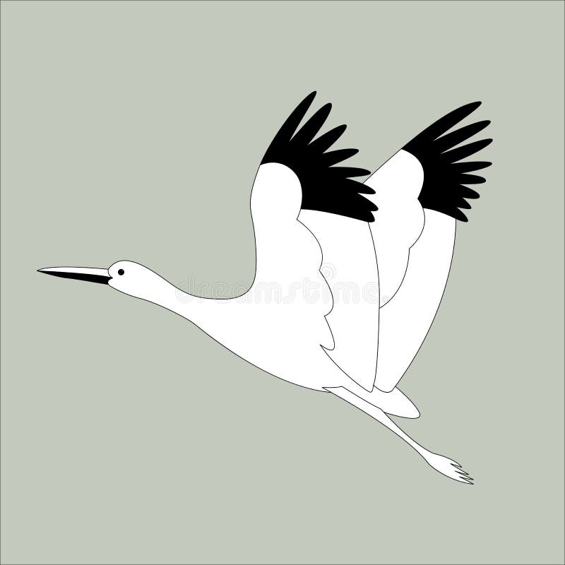 Stork Bird Flying, Vector Illustration Stock Vector - Illustration of ...