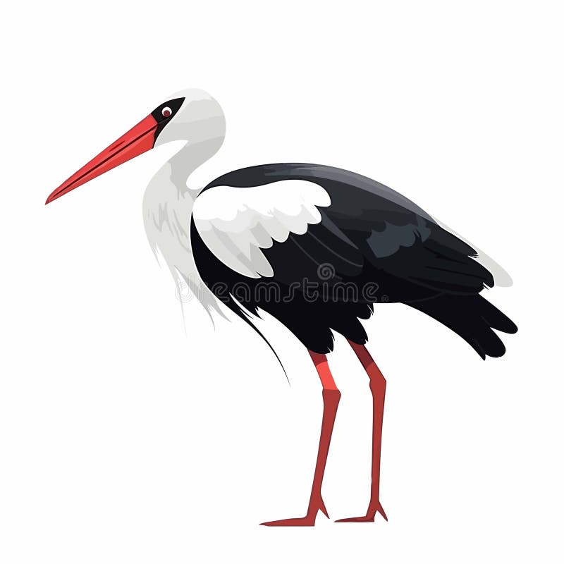 Realistic Stork Stock Illustrations – 174 Realistic Stork Stock ...