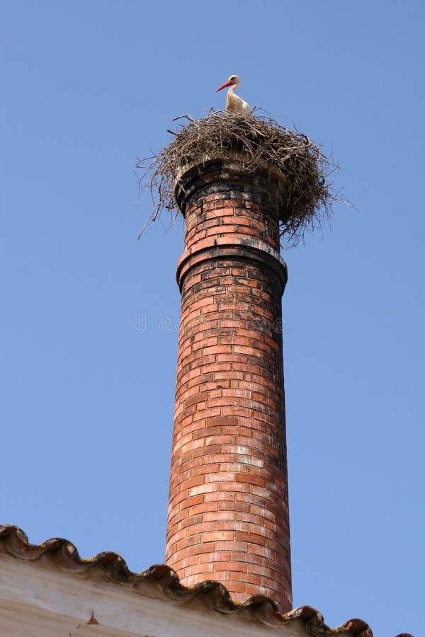 Stork on Chimney Stack Nest Stock Photo - Image of stork, explore: 2881840