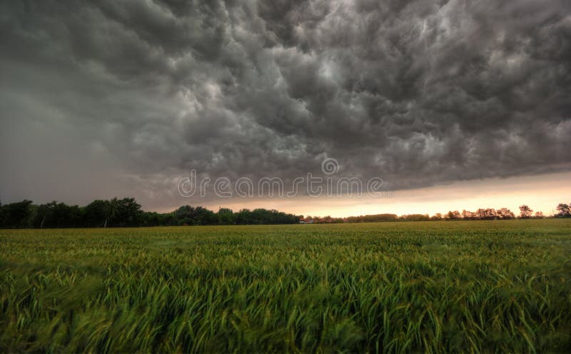 Storm above a field stock image. Image of stormy, wind - 31731423