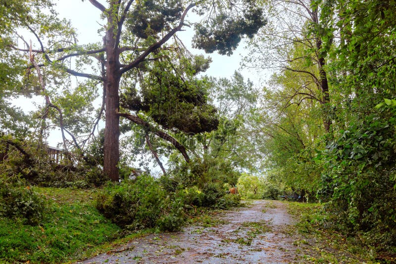 Storm Aftermath Reveals Fallen Trees Debris Along Quiet Rural Road ...