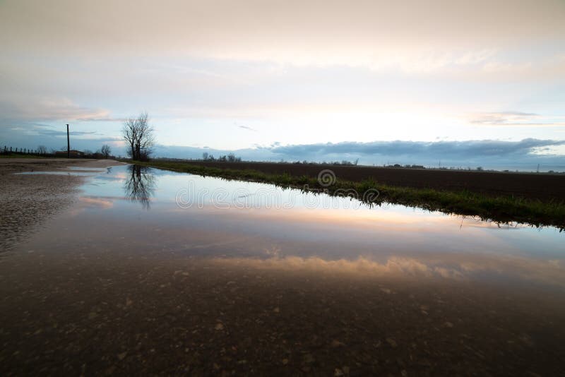 After the storm stock photo. Image of storm, latest, corn - 68422692