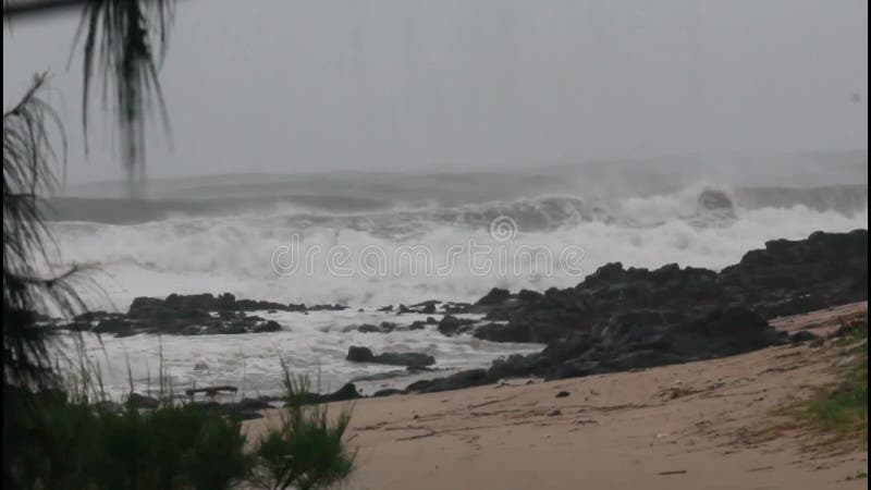 Storm on a beach stock footage. Video of waves, water - 325785386