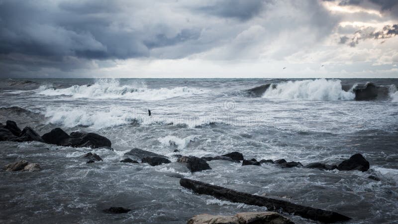 Storm on the Black Sea stock image. Image of storm, coast - 68284017