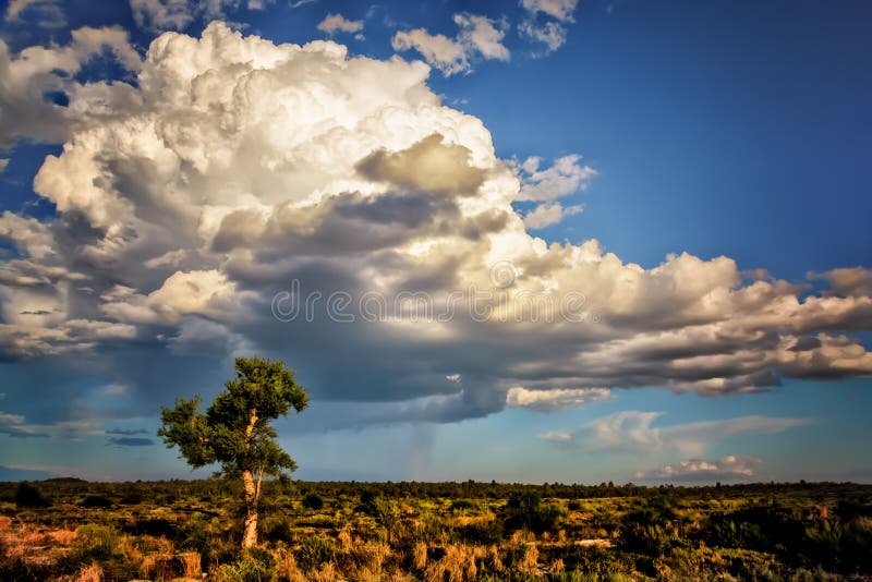 Storm Brewing Over the Outback Australia Stock Image - Image of skyline ...