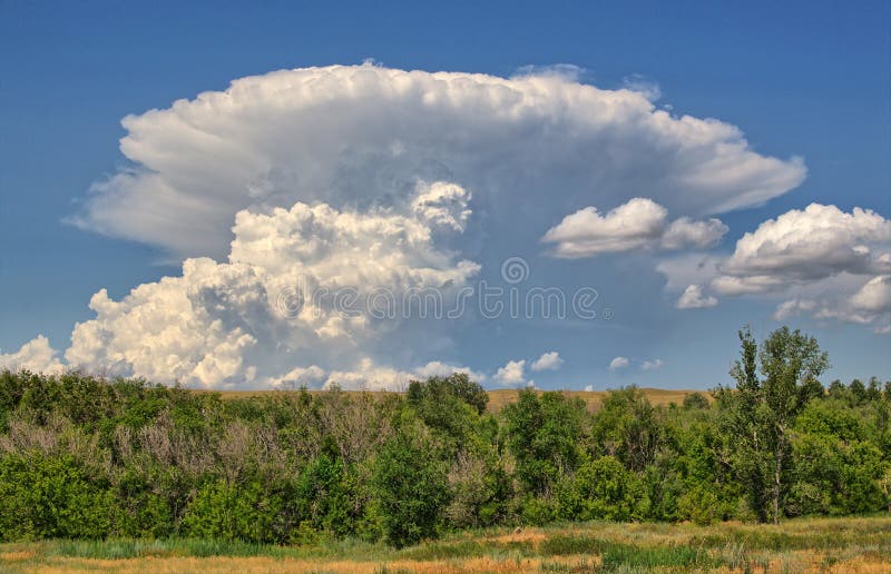 Storm Cloud on Ground in Summer Stock Photo - Image of storm, meadow ...