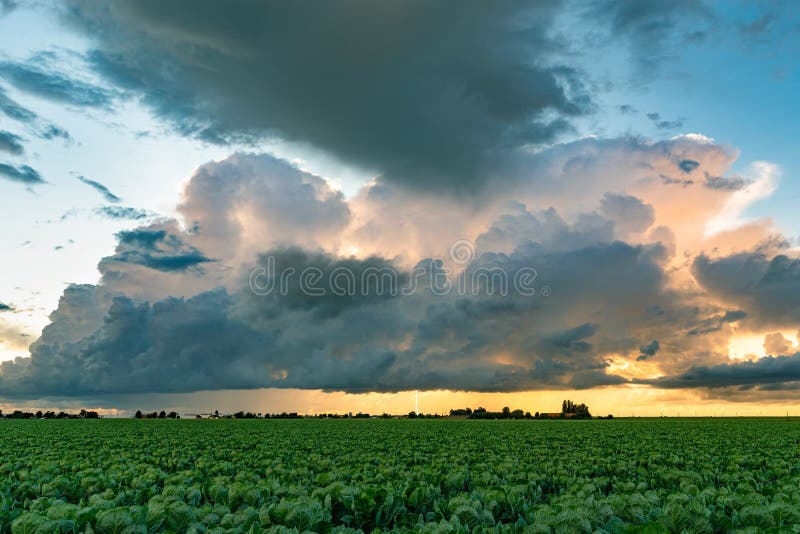 Storm Cloud is Illuminated by Light of the Setting Sun Stock Image ...