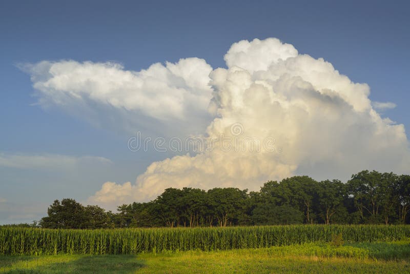 Storm cloud over field. stock photo. Image of summer - 74556896