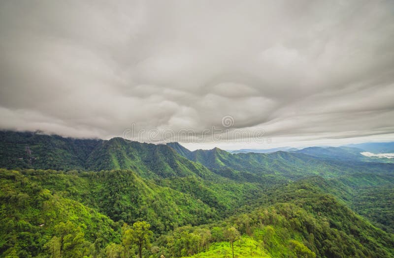 Storm Cloud Over Rainforest Stock Image - Image of abstract, ominous ...