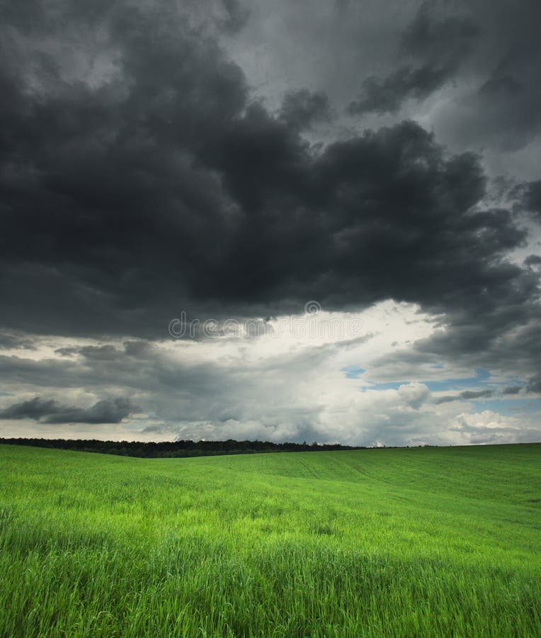 Storm clouds stock image. Image of natural, grass, morning - 8658889