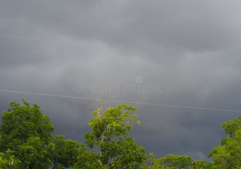 Storm Clouds Above the Tree Lines. Stock Photo - Image of storm ...
