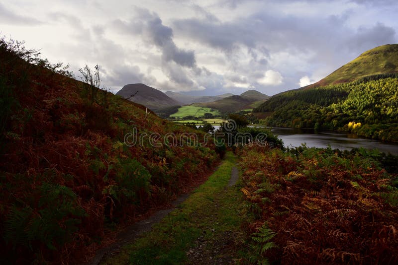 Track down to Loweswater stock image. Image of loweswater - 102714713