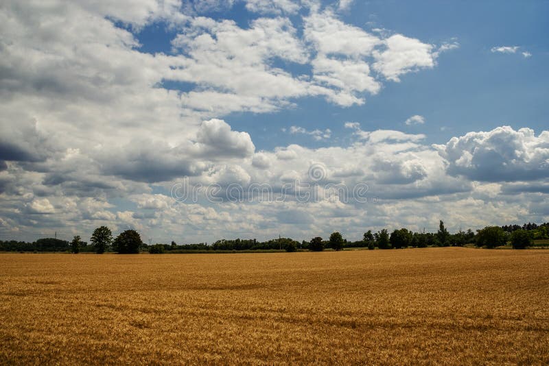 Storm Clouds over field stock photo. Image of cloudy - 35684848