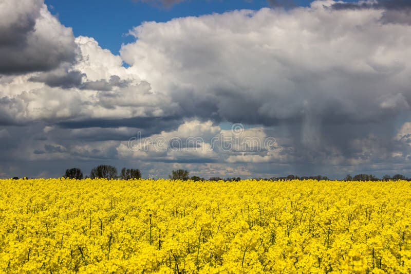 Storm Clouds Over the Field Stock Photo - Image of distance, travel ...