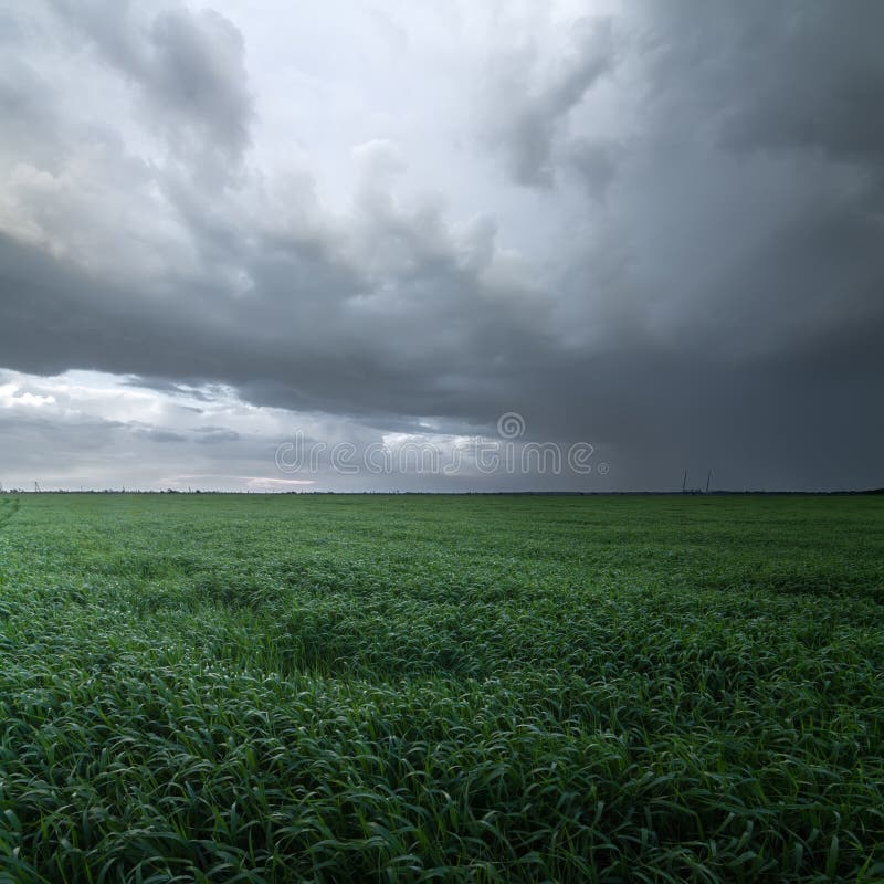 Storm clouds over a field stock photo. Image of horizon - 101349876