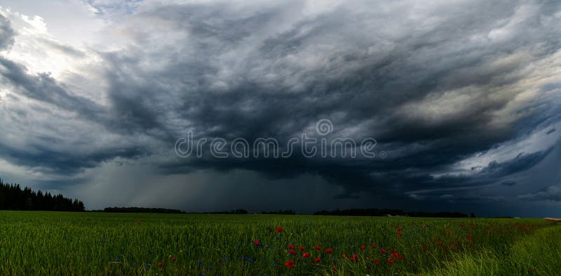 Storm Clouds Over Field, Tornadic Supercell, Extreme Weather, Dangerous ...