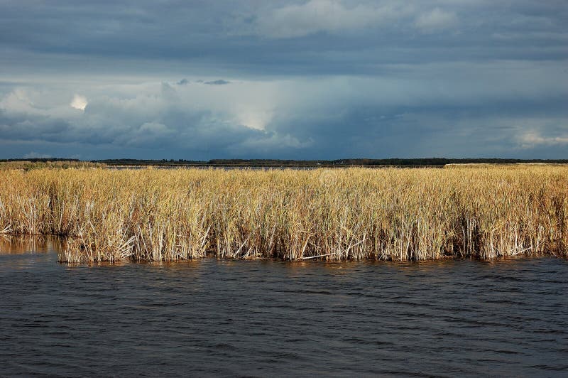 Storm Clouds Over the Marsh Stock Image - Image of environmental ...