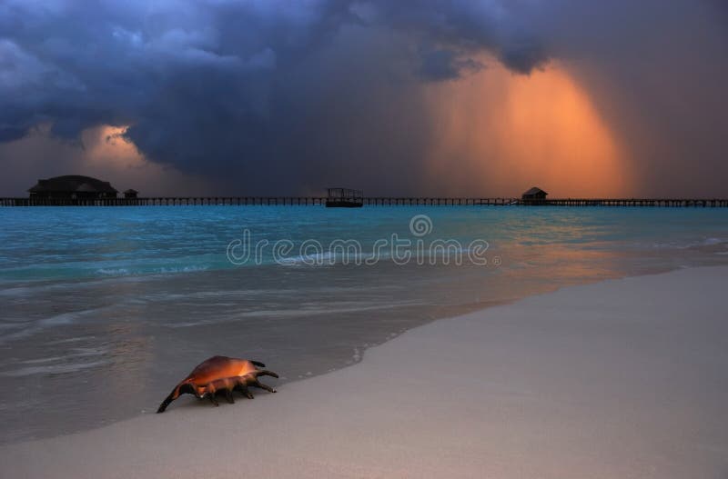 Storm clouds over sea stock image. Image of overcast, sunset - 6870609