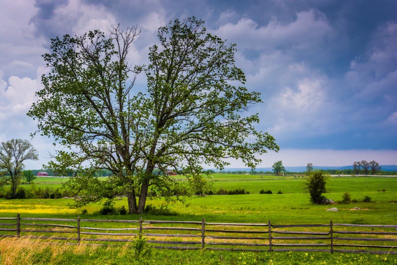 Storm Clouds Over a Tree in a Field, Gettysburg, Pennsylvania. Stock ...