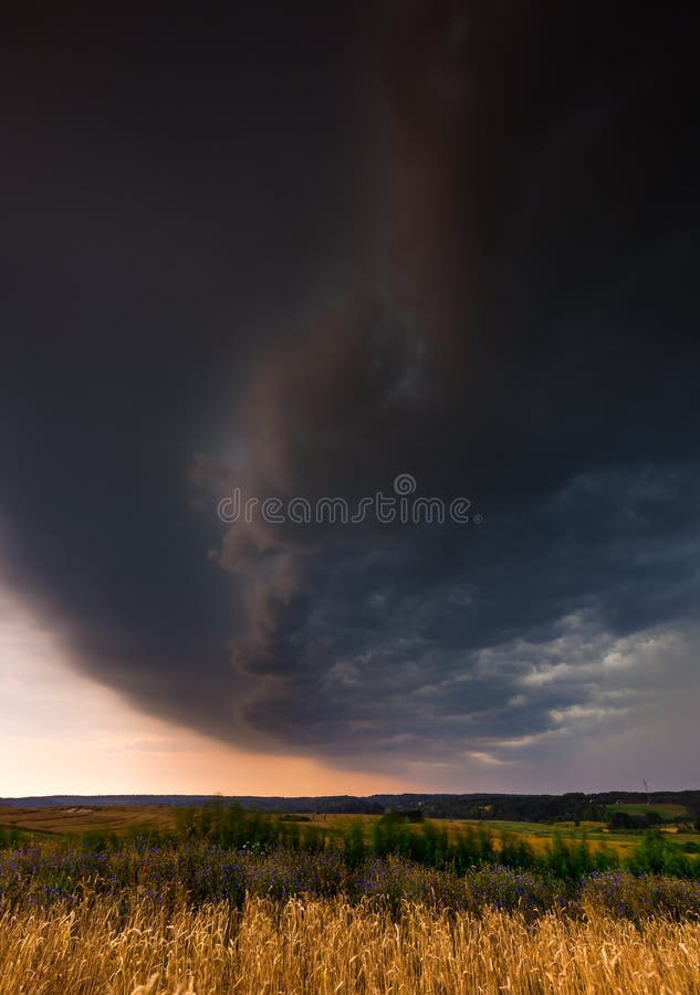 Storm Clouds Over Wheat Field. Stock Image - Image of disaster ...