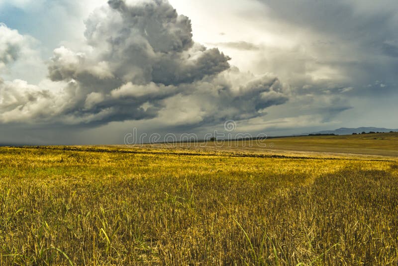 Storm Clouds Over Wheat Fields Stock Image - Image of field, nature ...